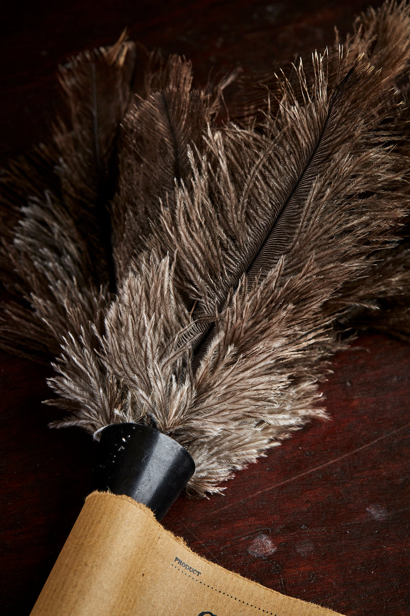 Giant Belly Button Cleaner – Grimm & Co